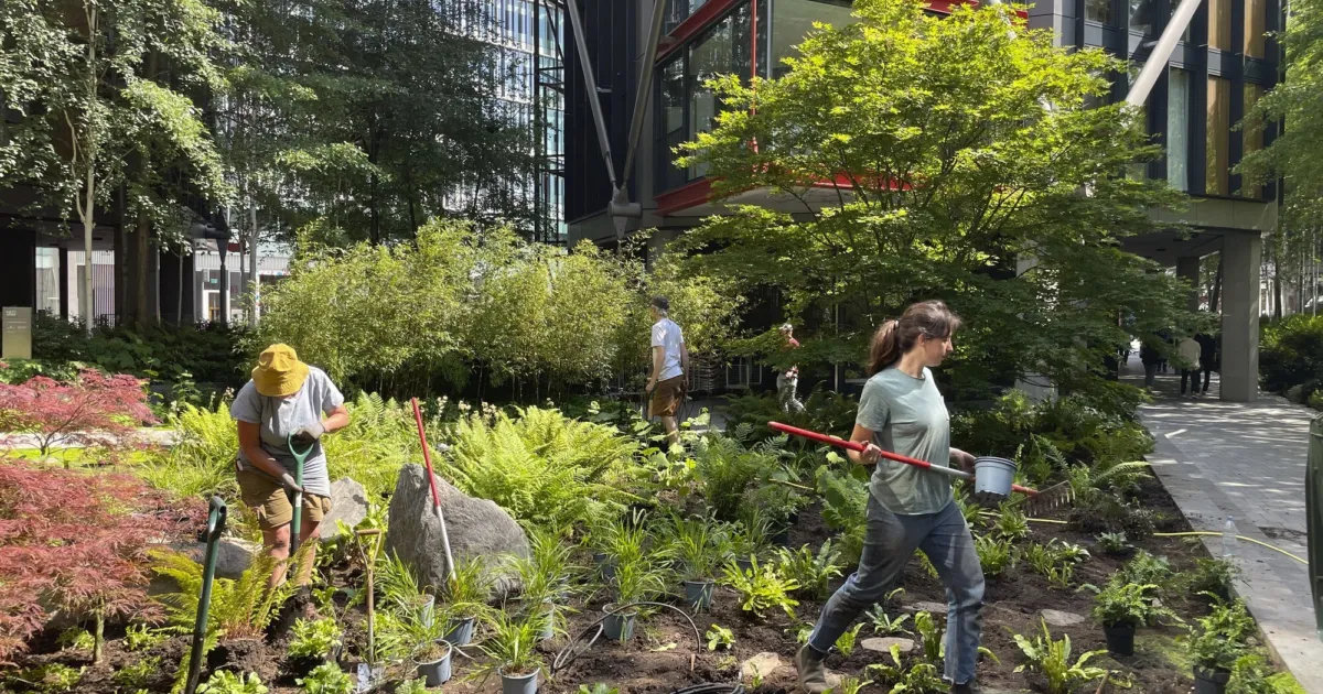 Another shade of green – refreshing the planting at NEO Bankside - Insights - Gillespies ...
