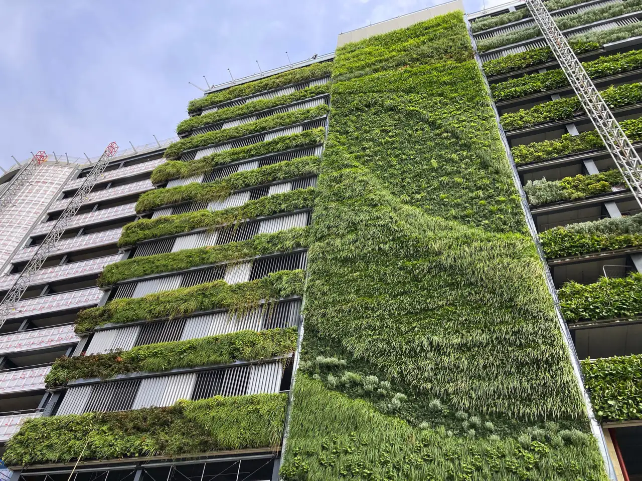 A new living wall for Victoria Square - News - Gillespies