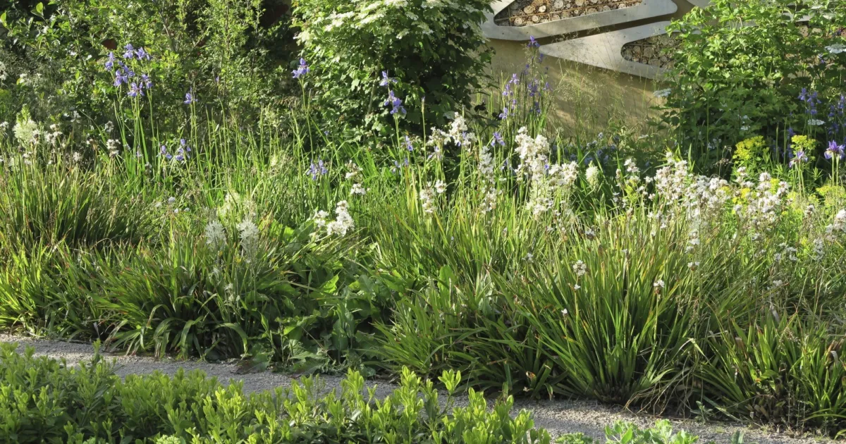 Gillespies supports the Landscape Institute's Embodied Carbon Advisory ...