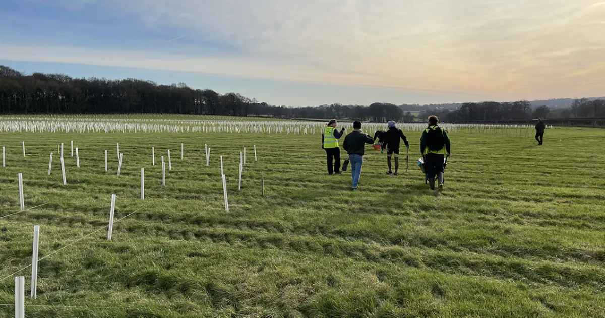 Leeds volunteers plant trees - News - Gillespies