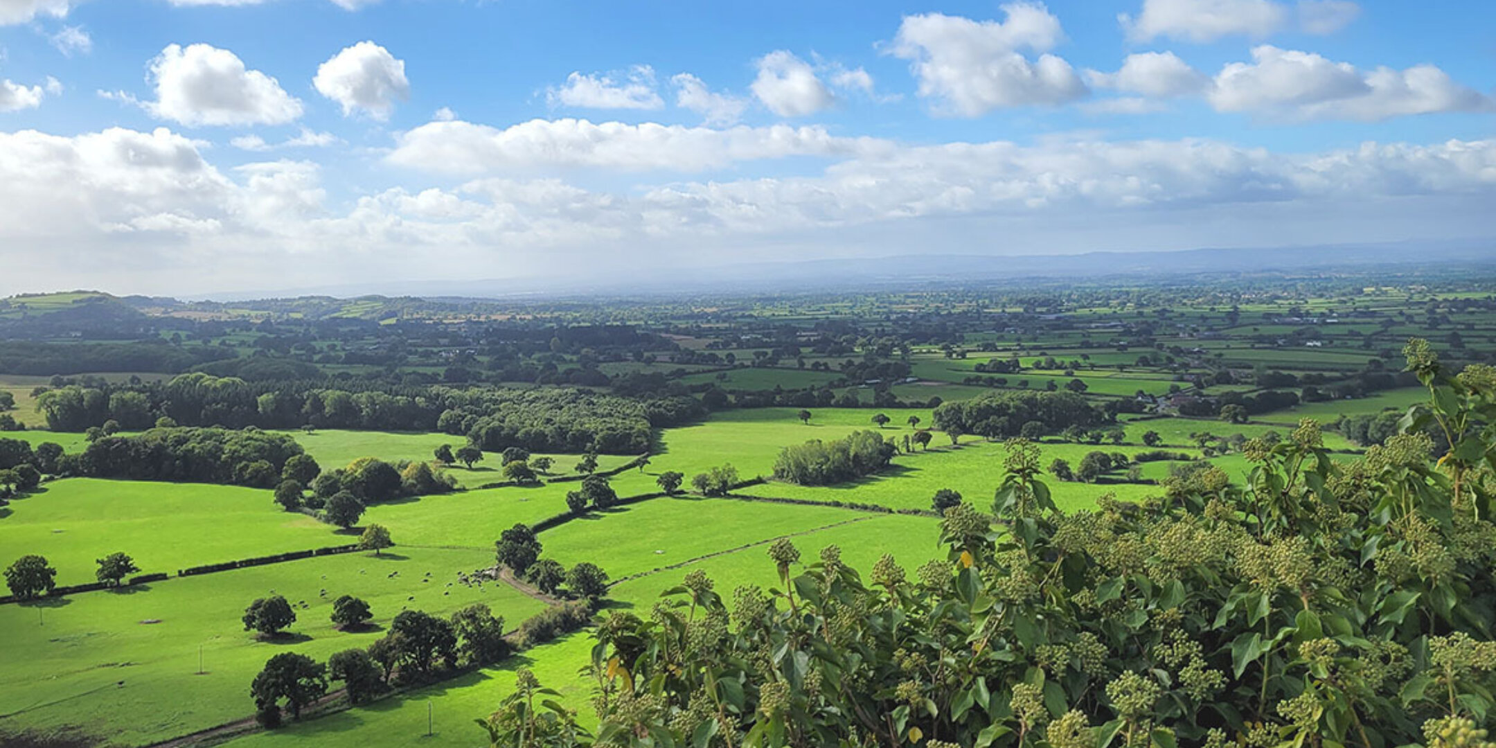 Cheshire Sandstone Ridge AONB - Projects - Landscape Architecture ...