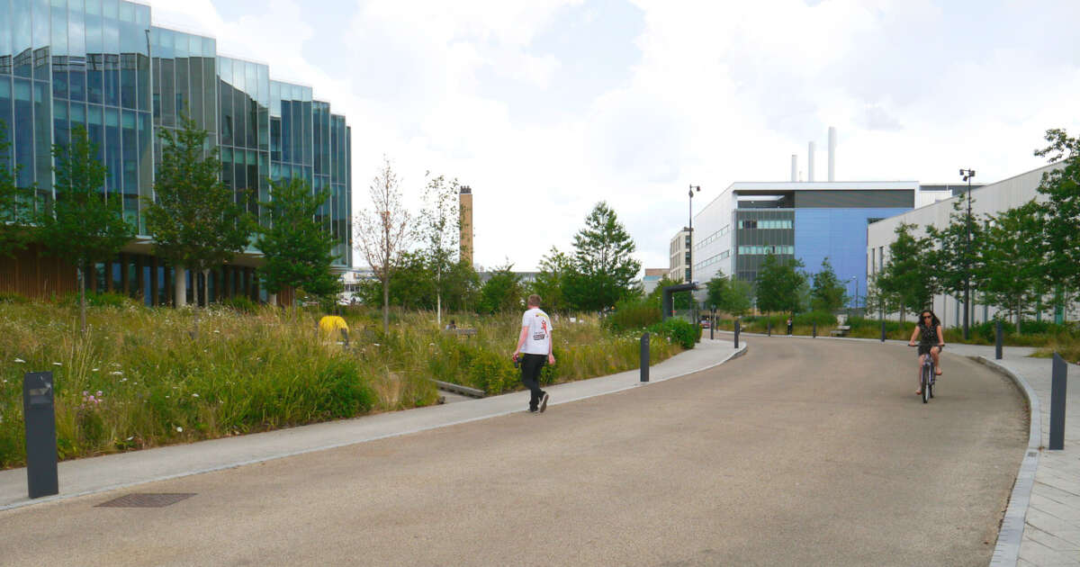 Cambridge Biomedical Campus - Projects - Gillespies