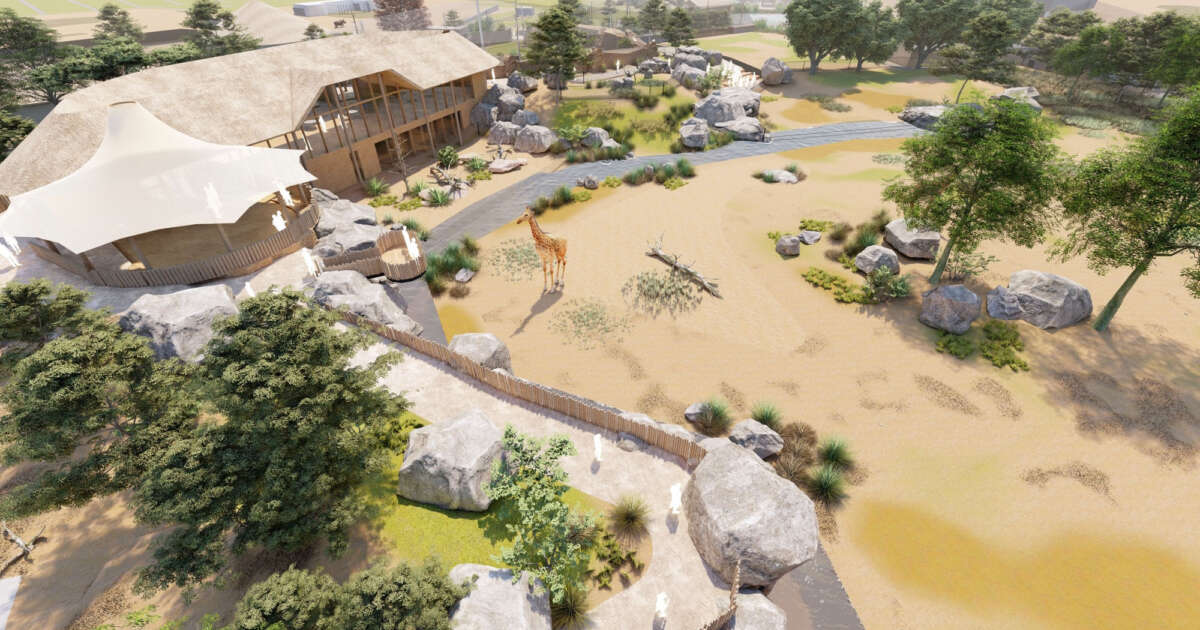 The Grasslands, Chester Zoo - Projects - Gillespies