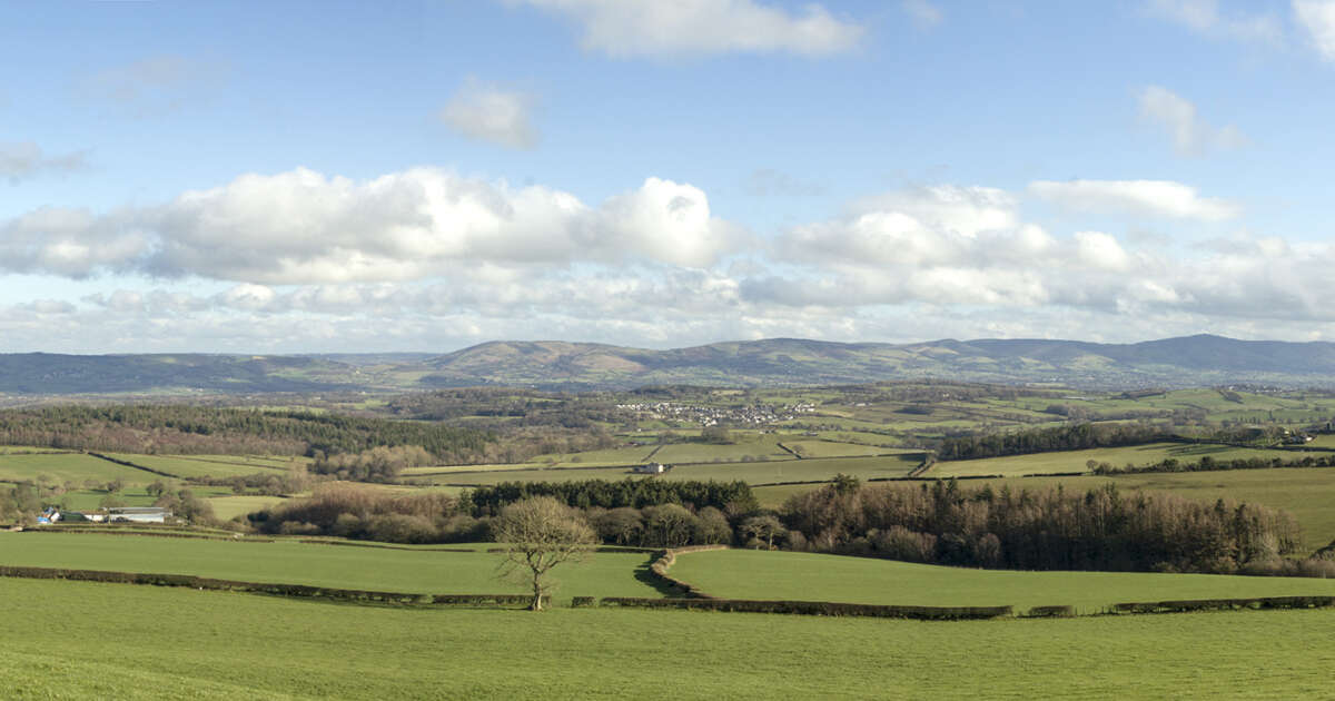 North Wales Wind Farms Connection Project - Projects - Gillespies