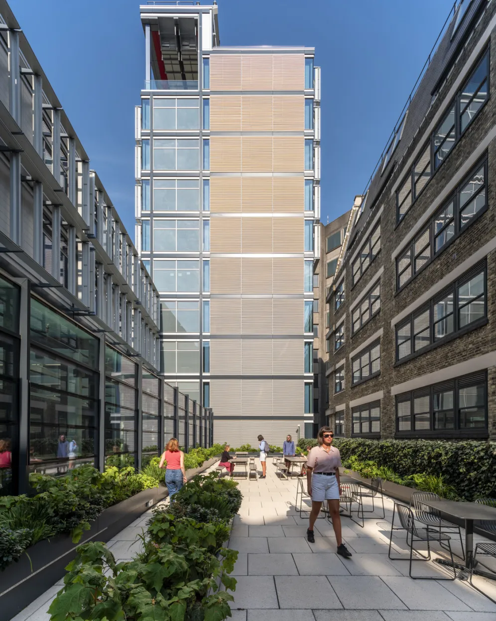 Centre Building at LSE - Projects - Gillespies - Landscape Architecture ...